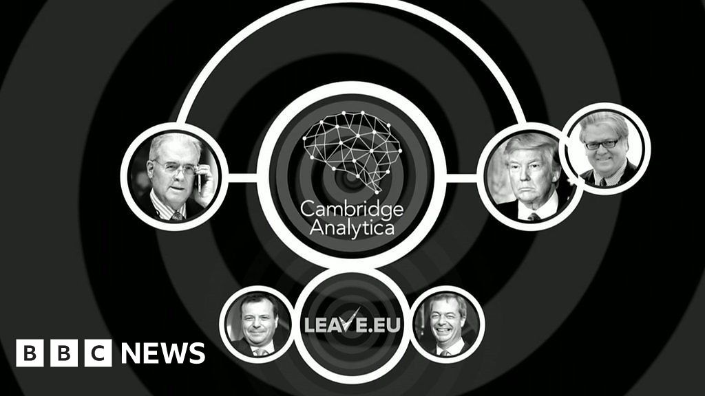 Did Cambridge Analytica play a role in the EU referendum?
