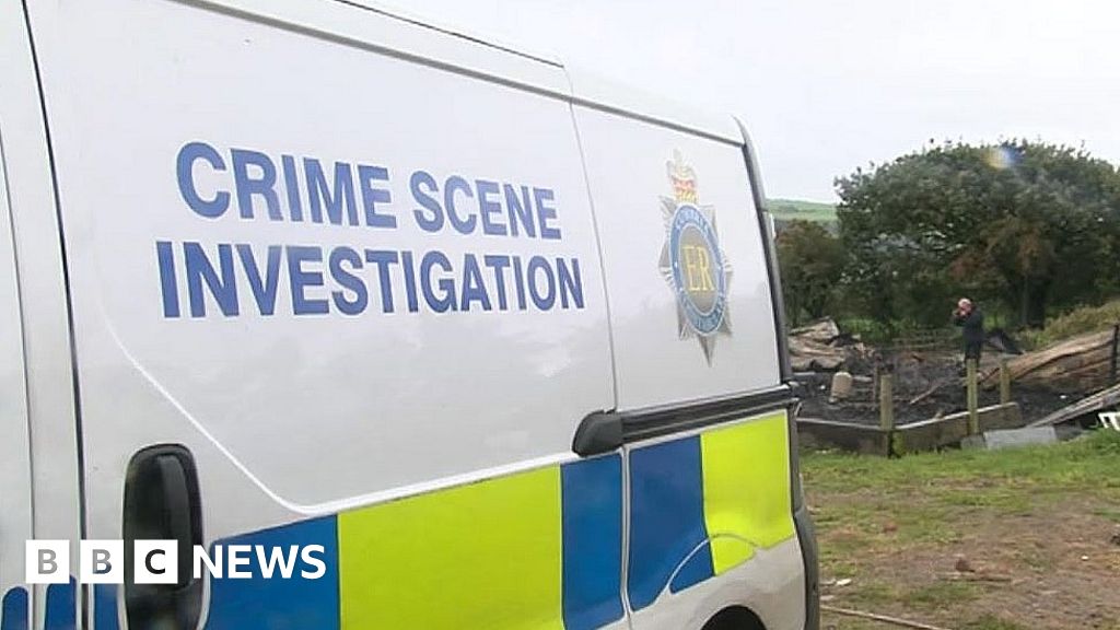Pair arrested over barn blaze that killed five horses and dog