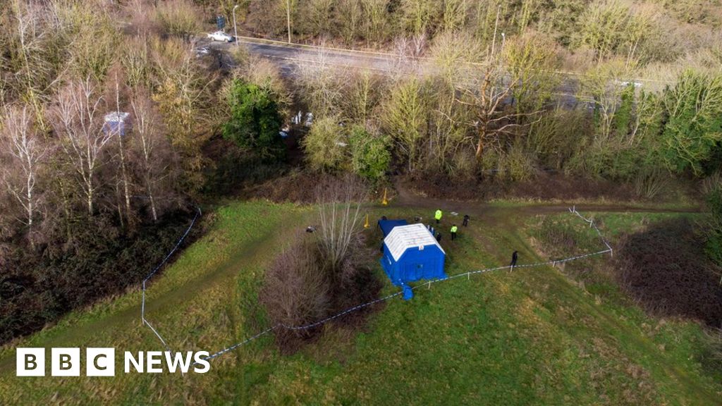 Hardingstone: Archaeologists working to determine age of human bones ...
