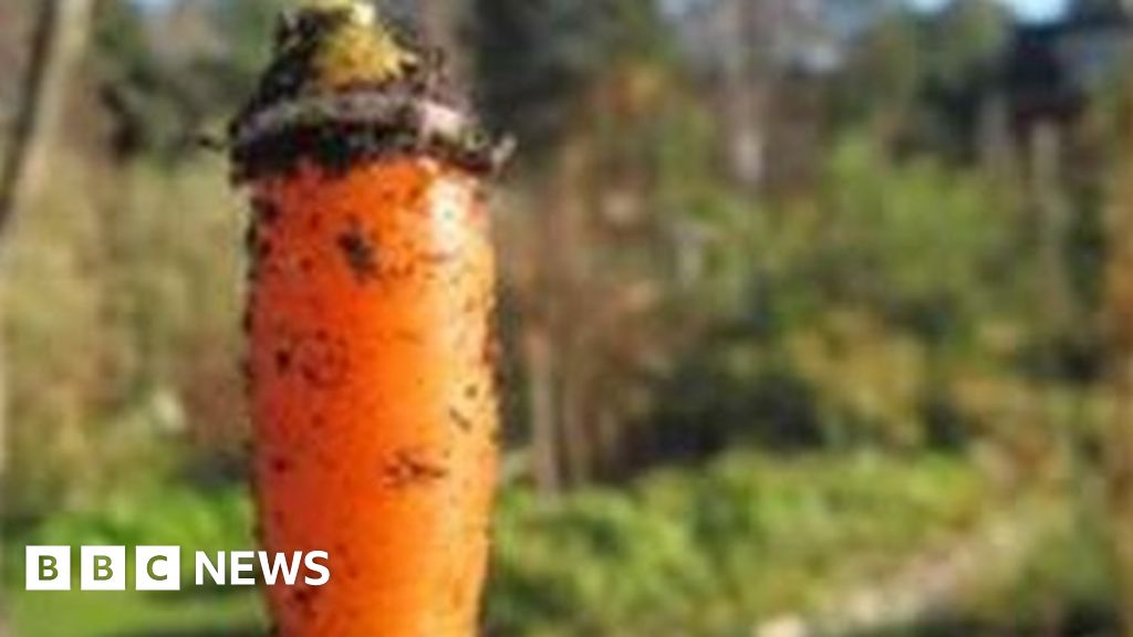 Eight ways to lose your wedding ring - BBC News