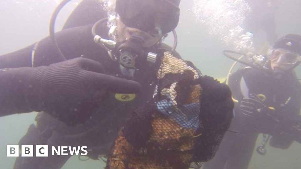 The divers cleaning up the North Sea - BBC News