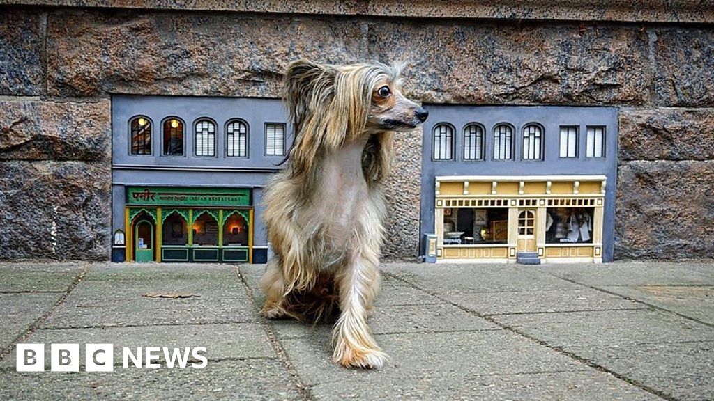 The secret artists creating miniature buildings for street mice - BBC News