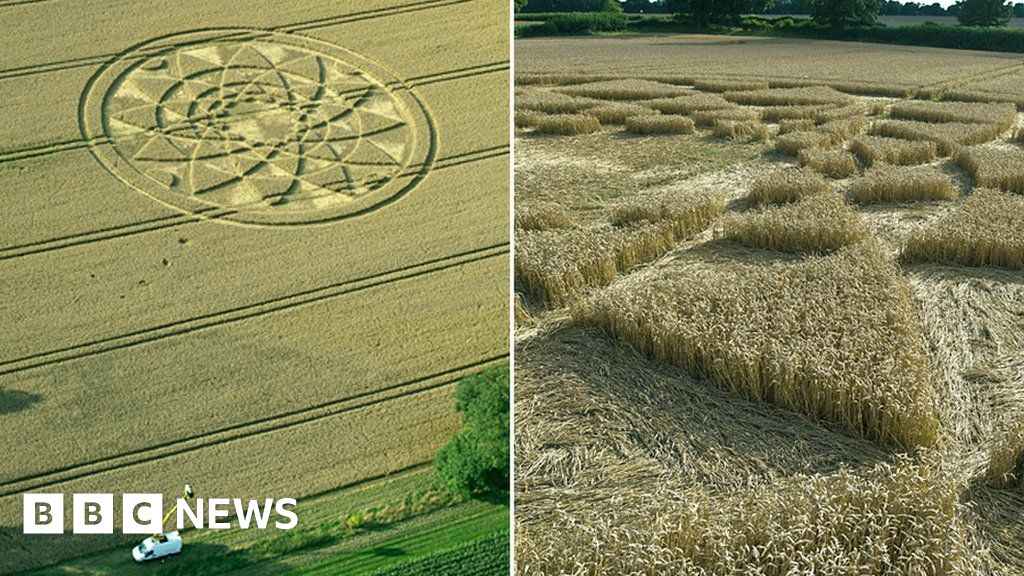 Wiltshire crop circle brings hundreds to farm - BBC News