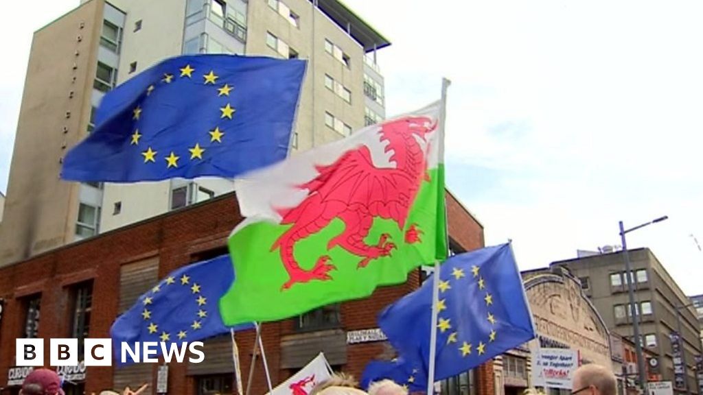 Crowds march against Brexit across Wales - BBC News