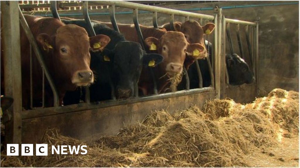 Coronavirus: £25m farming package 'not a magic bullet'