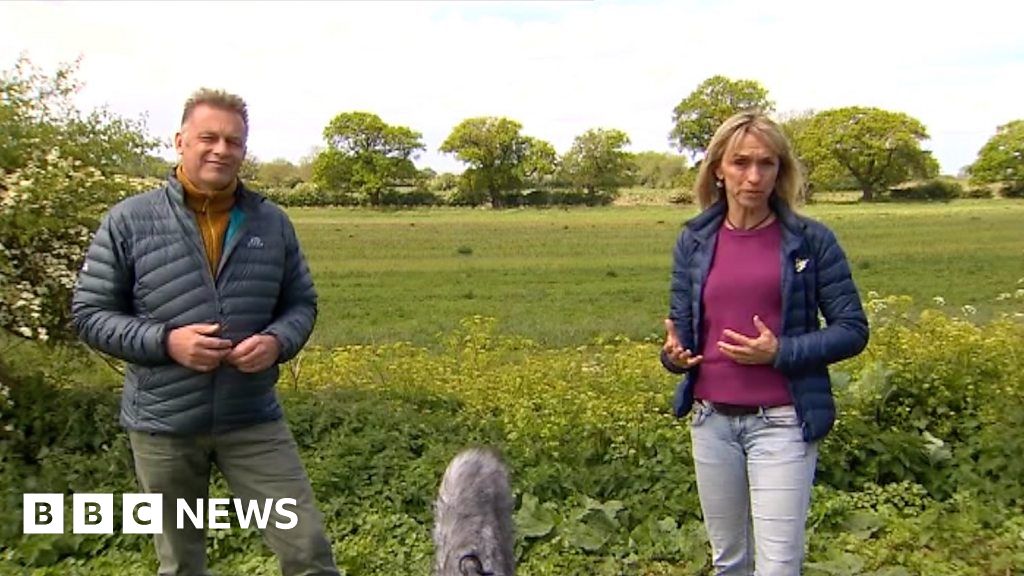 Springwatch: Presenters hail nature's 'respite and solace' - BBC News