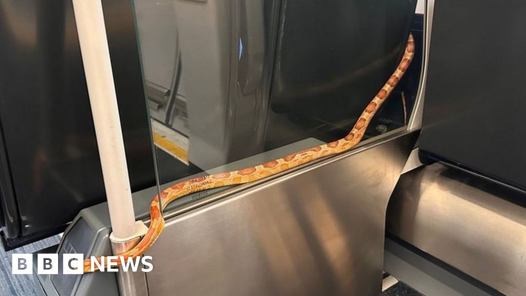 Snake on a train shocks passengers heading to Leeds - BBC News