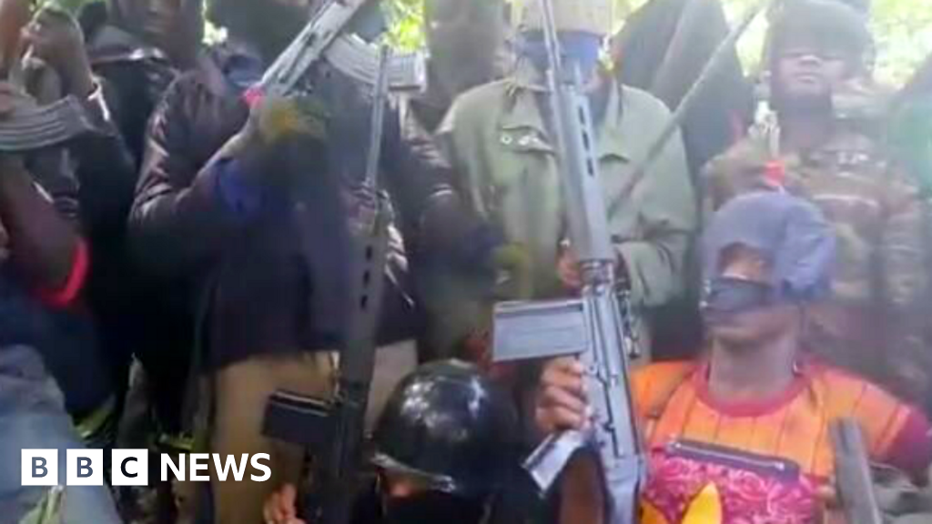 Cameroon's Anglophone crisis: Red Dragons and Tigers - the rebels ...