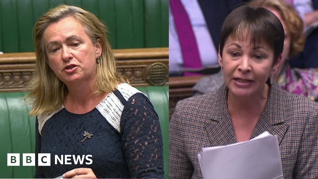All-female cabinet: MP cautious on idea to stop no-deal Brexit - BBC News