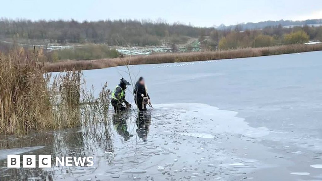 Rotherham: Woman and dog rescued from frozen lake - BBC News
