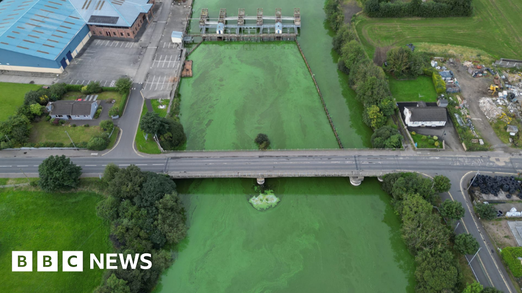 What is blue-green algae and why is it such a problem? - BBC News