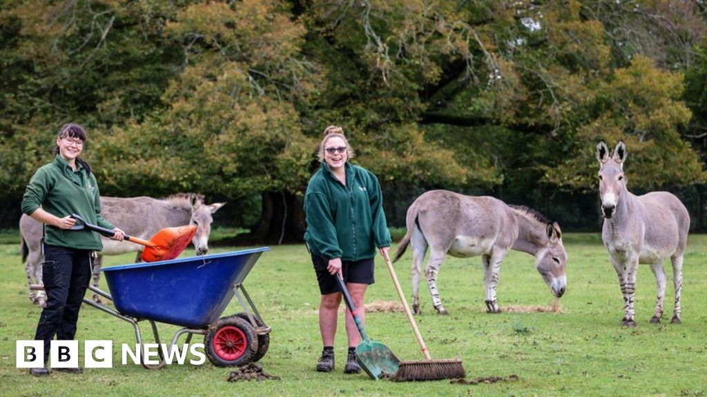 Marwell Wildlife tropical animal house heated by 'zoo poo' - BBC News