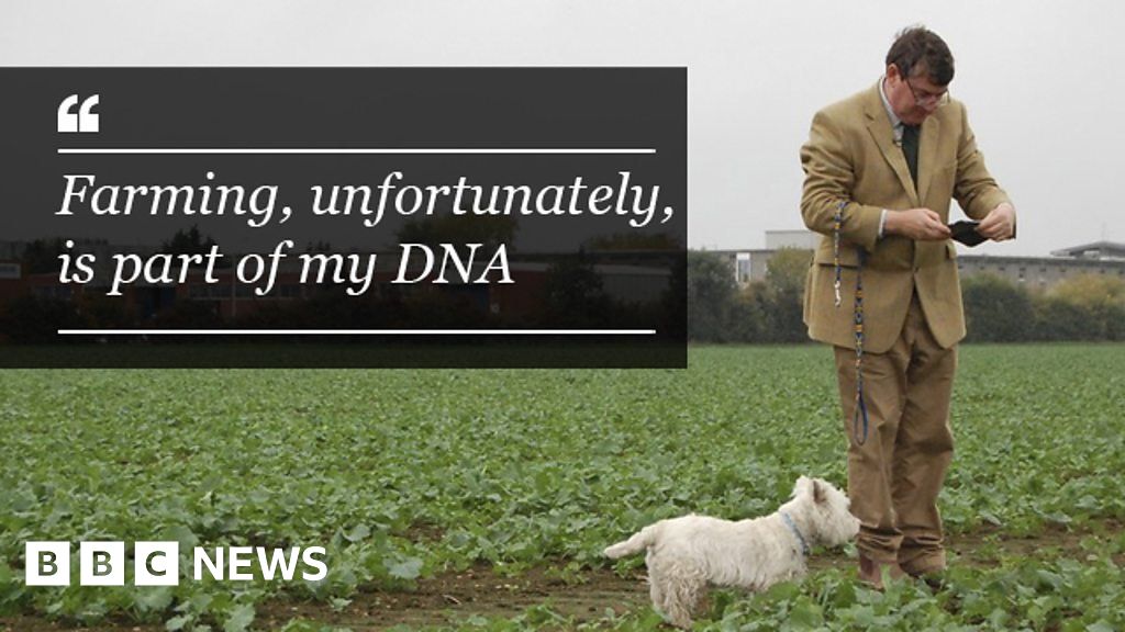 Farmer Colin Rayner will lose the field he's standing in if a third ...