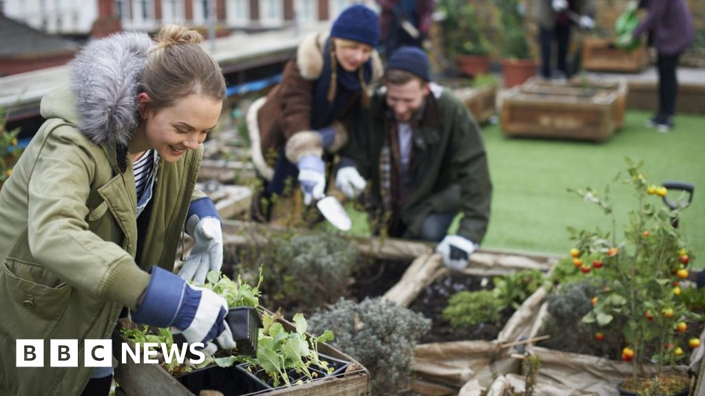 Grant money for East Yorkshire community groups launched - BBC News