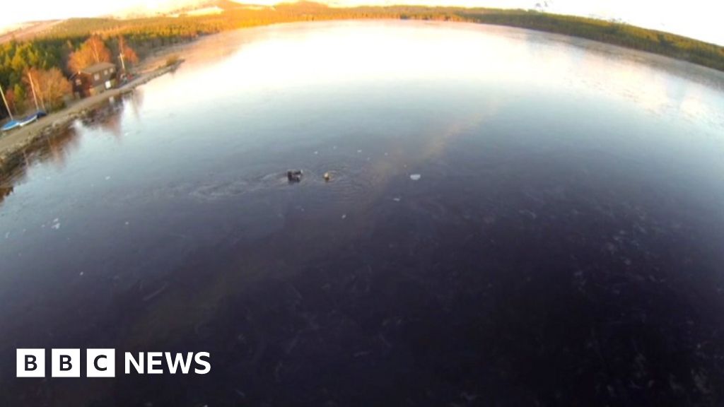 Drone footage captures dog rescue from frozen Loch Morlich - BBC News
