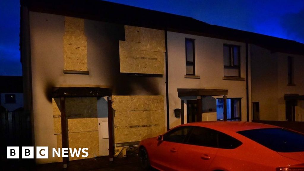 Holywood: Two pet dogs die following petrol bomb attack
