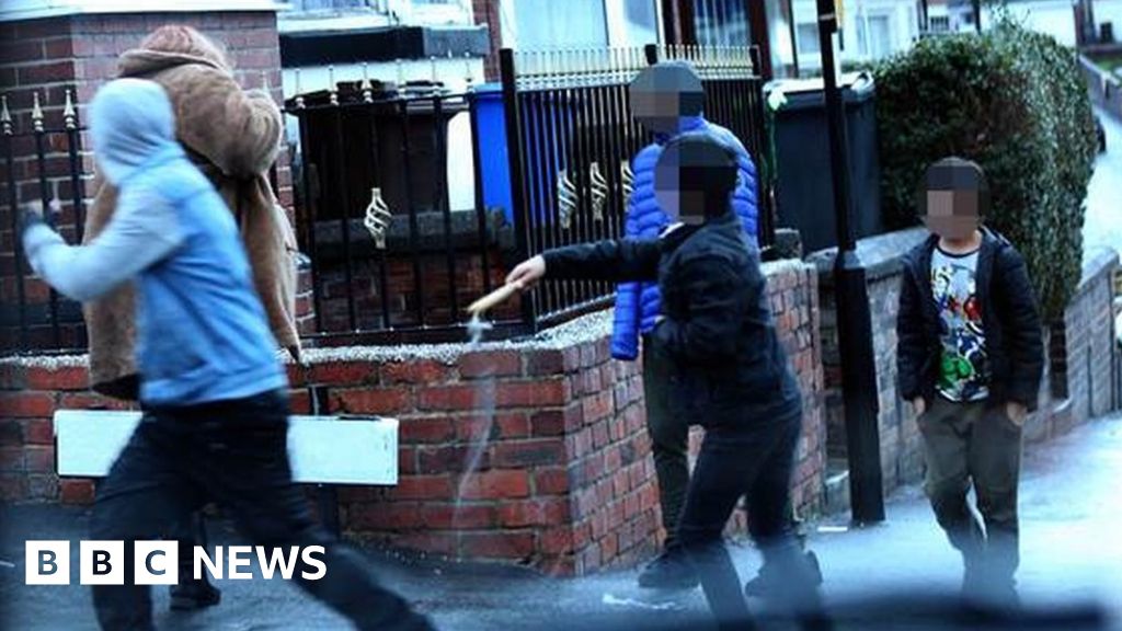 Police probe 'whip attack' by children in Sheffield - BBC News