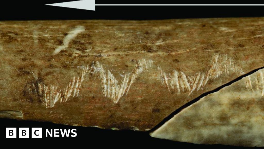 Cannibals engraved bones of the dead - BBC News