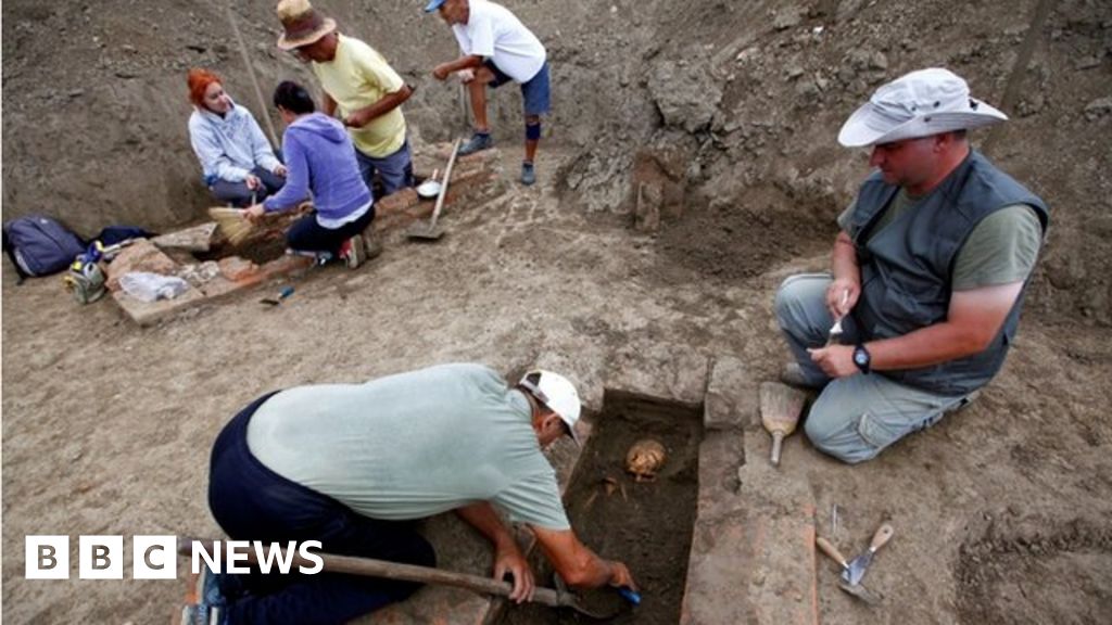 Protest at axing of archaeology A-level - BBC News