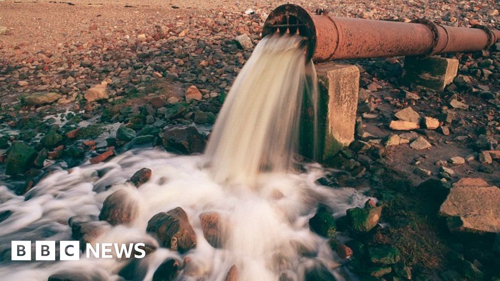 Severn Trent Water apologises for slow sewage spills response - BBC News