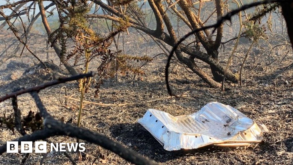 Puddletown Forest fire 'caused by disposable barbecue' - BBC News