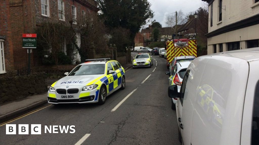 Westerham dog attack man was dog-sitting for friend - BBC News