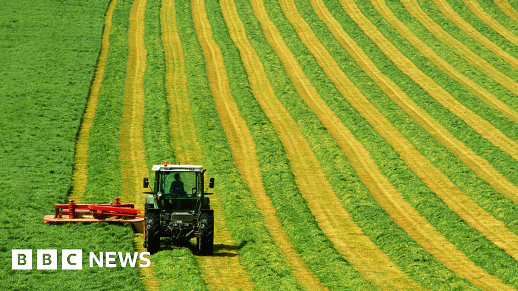 Suffolk farmers warn of cuts to production as costs increase - BBC News