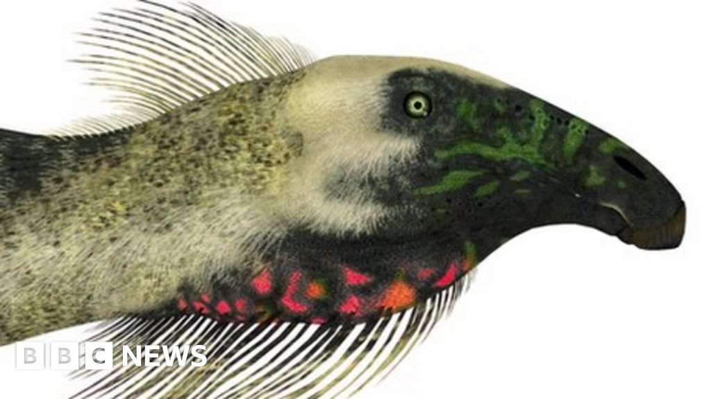 Dinosaur dandruff reveals first evidence of skin shedding - BBC News