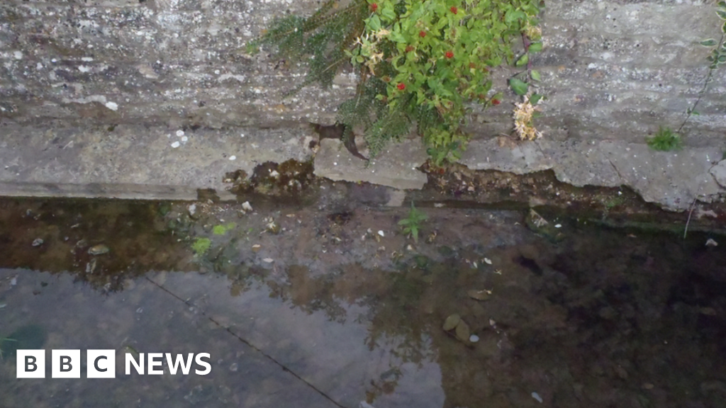 Thames Water fined £2m for raw sewage pollution - BBC News
