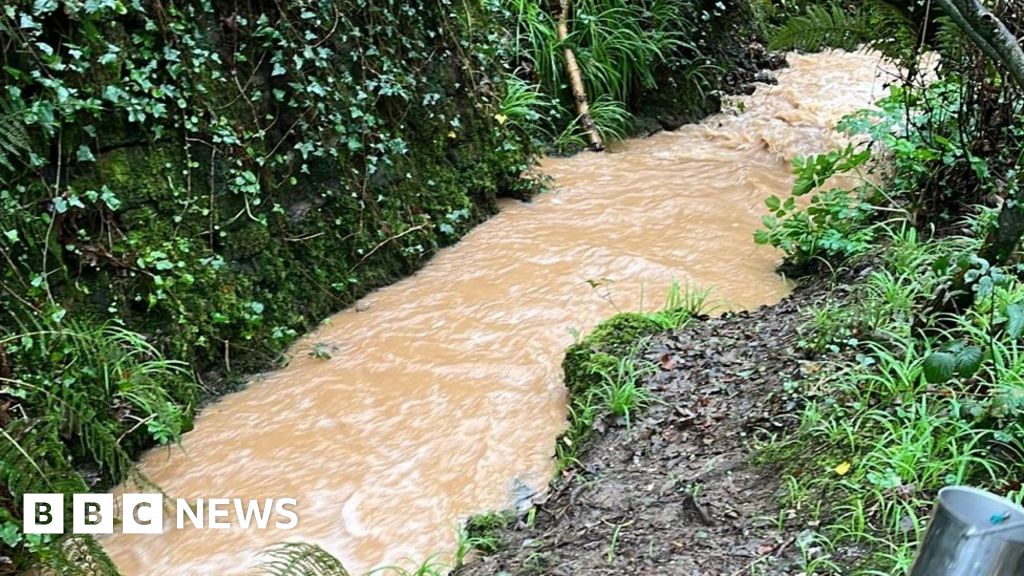 South West Water investigates discoloured water at beach - BBC News