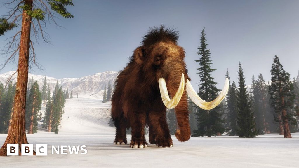 Woolly mammoths roamed Galloway 45,000 years ago - BBC News