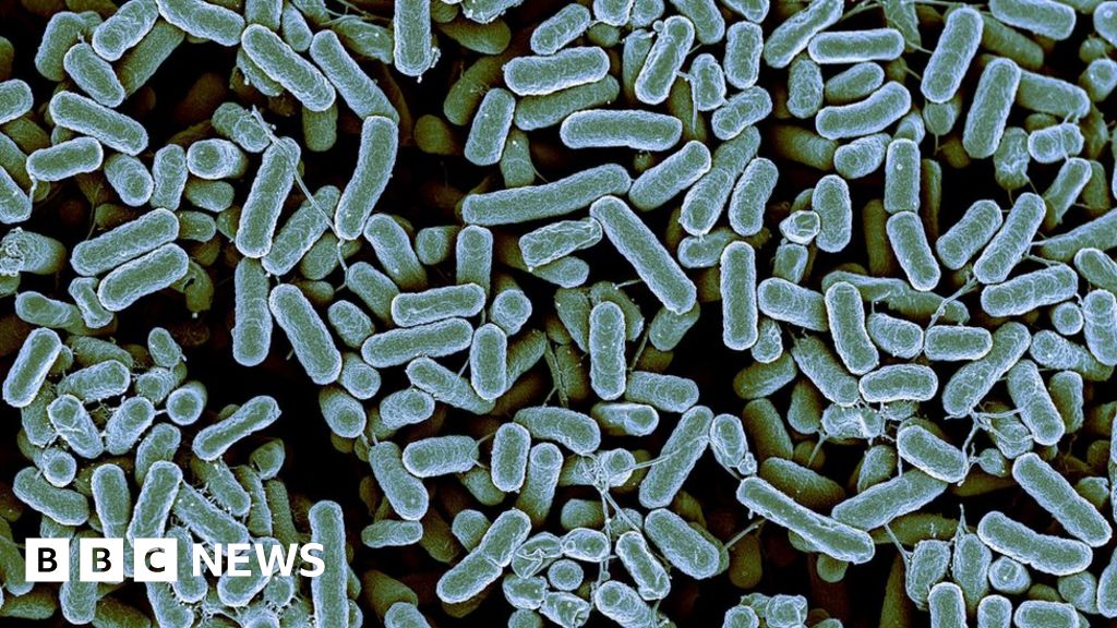 'Good bacteria' key to stopping asthma - BBC News