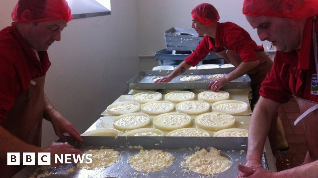 Tyrone cheese factory turns despair to optimism - BBC News