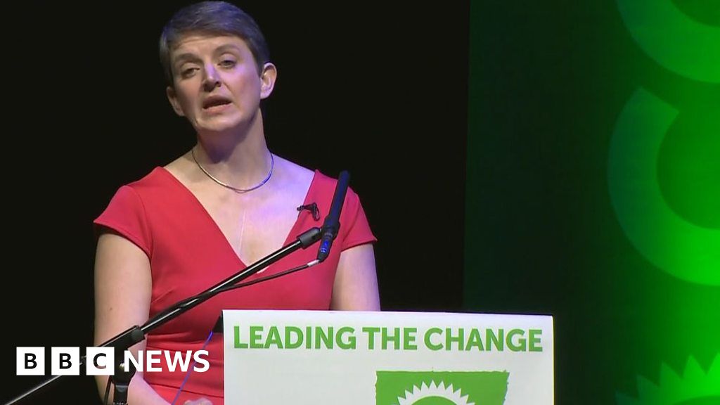 Scottish Green joint leader says party wants a different kind of world