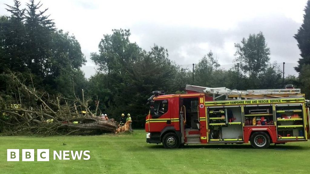 Man 'crushed by falling tree' on Dibden golf course - BBC News