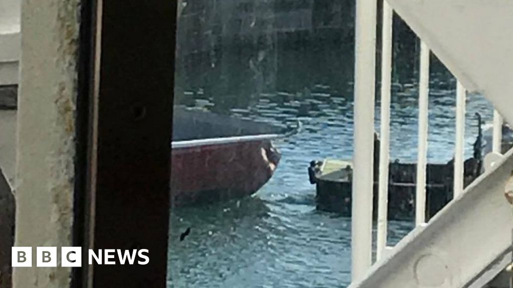 Manannan ferry crash caused by 'failure of hydraulic component' - BBC News