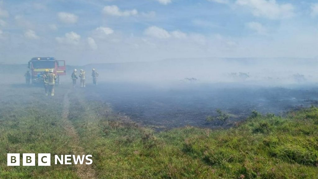 Heath fire near Wareham causes road closure - BBC News
