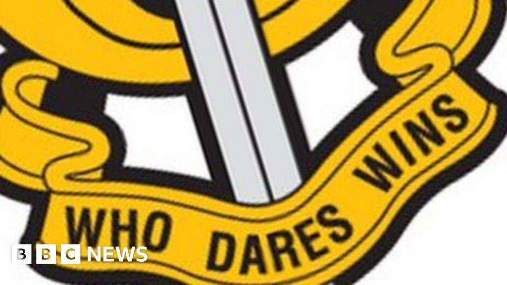 Here's what we know about the SAS - BBC News