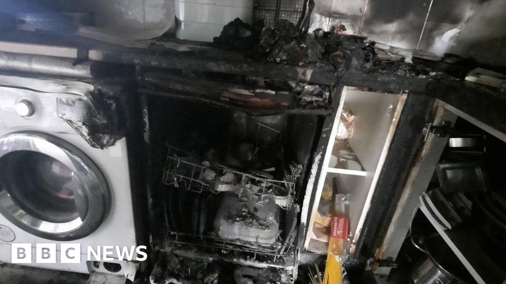 Pets die and family homeless after dishwasher fire in Saffron Walden ...