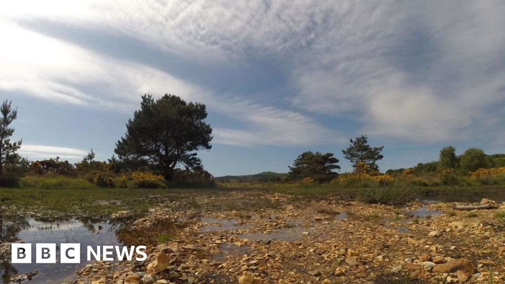 Stoborough Heath sewage spill: Wessex Water pays £35,000 for ...