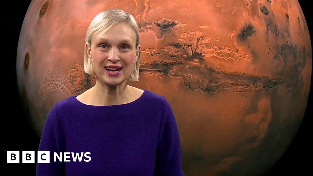 Lookahead 2021: What's happening in the world of science? - BBC News