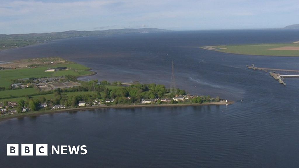 Lough Foyle oyster farms cashing in on political deadlock - BBC News