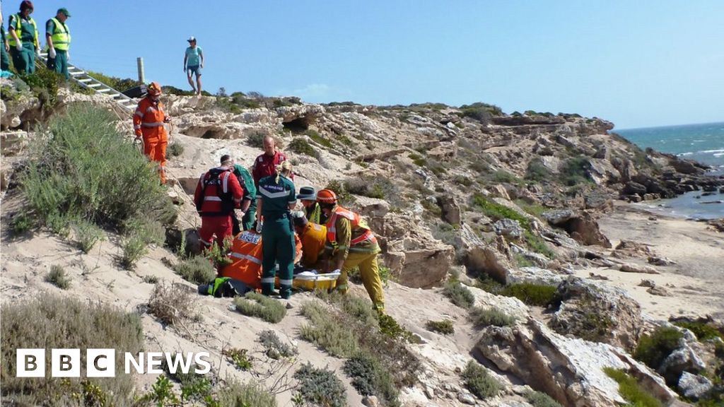 Woman saved by 'wonder dog' in South Australia - BBC News