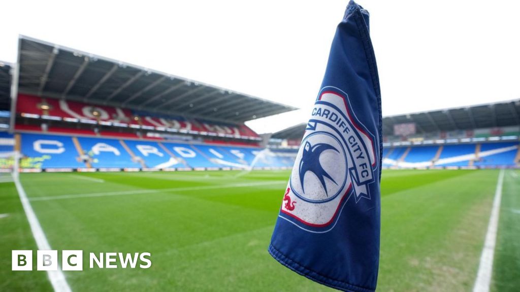 Cardiff City: Brothers attacked Swansea City fan after late goal - BBC News