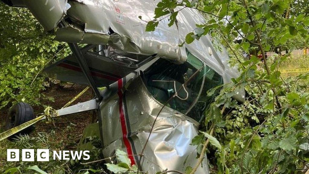 'Miraculous' outcome after plane lands in tree - BBC News