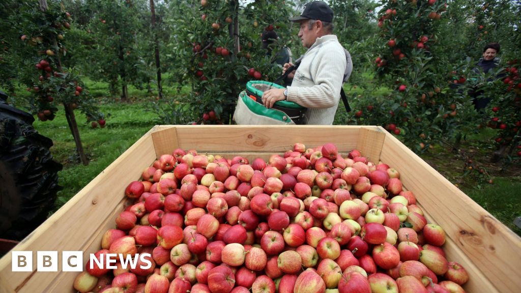 Why some fear a shortage of immigrants - BBC News