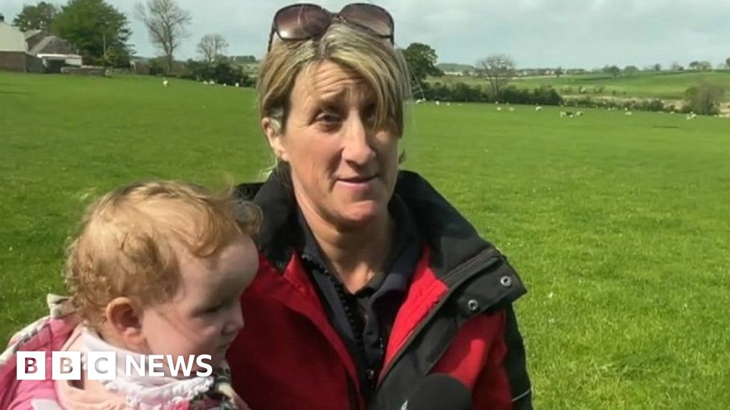 Lamb 'beaten to death' by children with sticks - BBC News