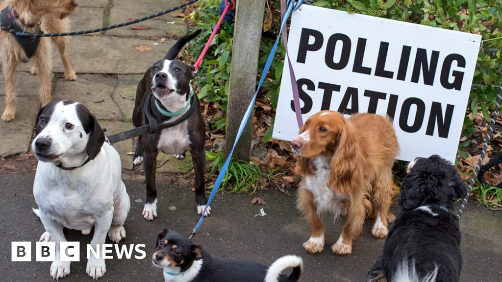 Chris Mason: What's at stake in this week's local elections? - BBC News