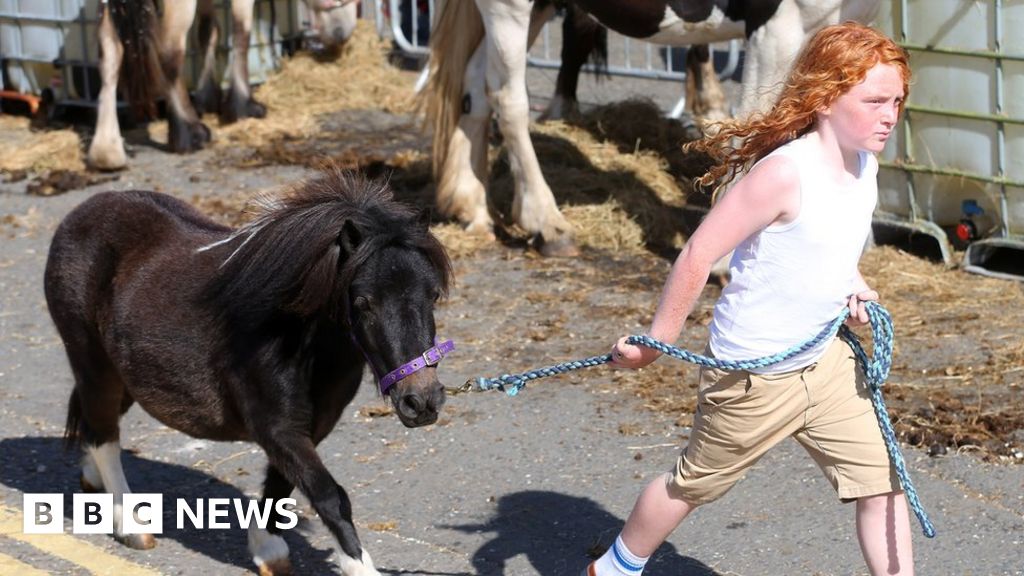 In pictures: Ould Lammas Fair returns to Ballycastle - BBC News