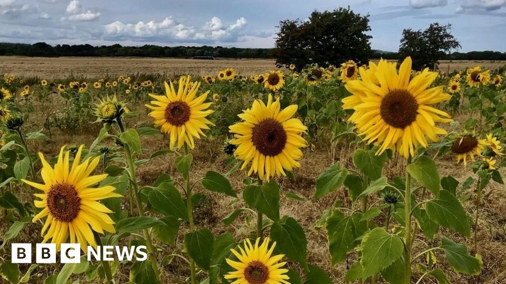 Your pictures of Scotland: 2-9 September - BBC News